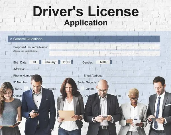 DDS Driver License Check: A Comprehensive Guide to Verification | GMRU