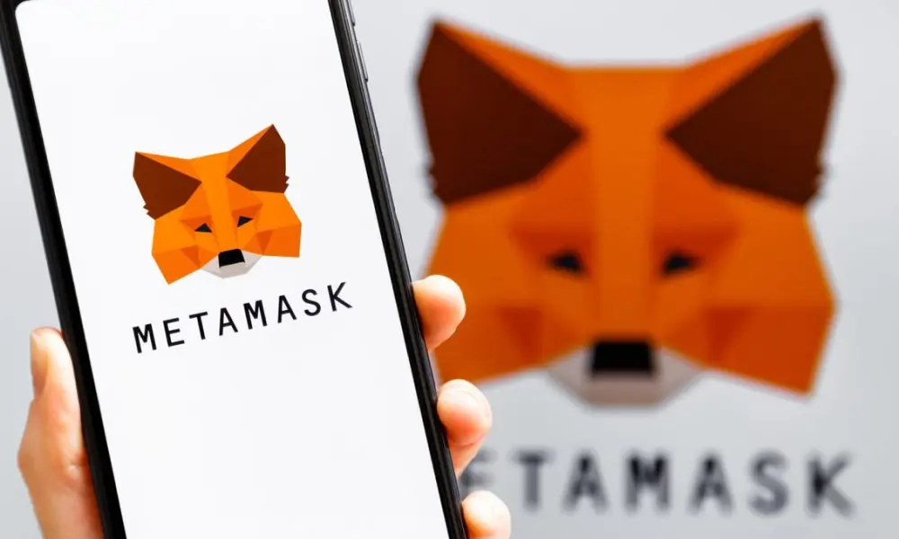 How to Download MetaMask on a Thumb Drive: Complete Guide | GMRU
