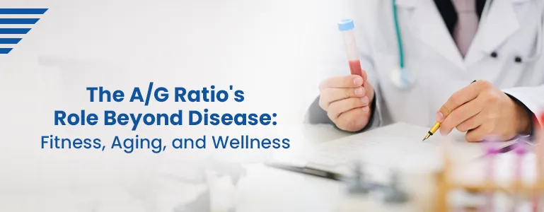 A/G Ratio: Understanding the Albumin-to-Globulin Ratio and Its Health ...