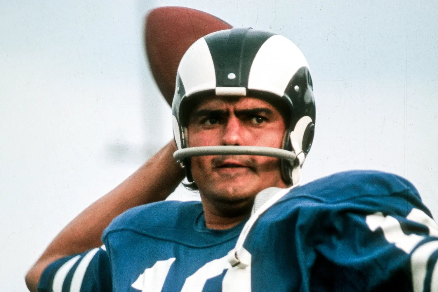 Roman Gabriel: Age, Height, Wiki, Bio, Net Worth, and Wife | GMRU