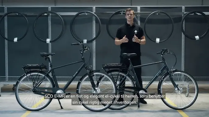 SCO Elcykel Styrebox: The Ultimate Guide to Electric Bike Control ...